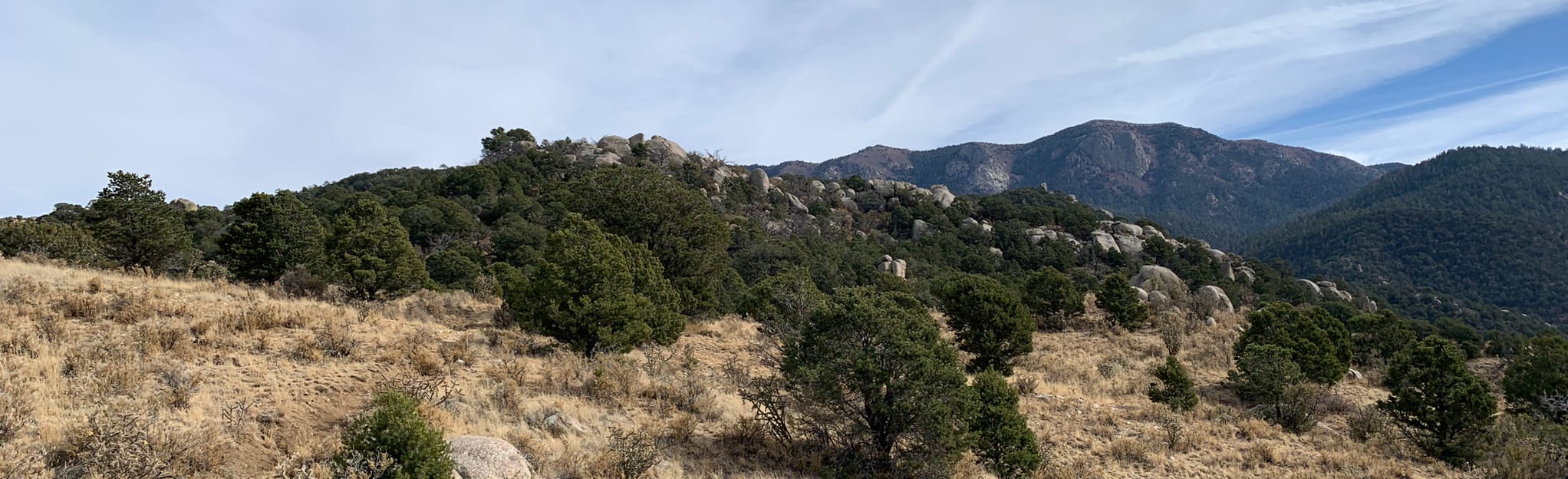 Oso Ridge and Embudito Trail Loop: 1.643 foto's - New Mexico | AllTrails
