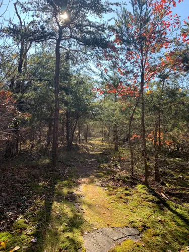 Best Hikes and Trails in Comer Scout Reservation | AllTrails