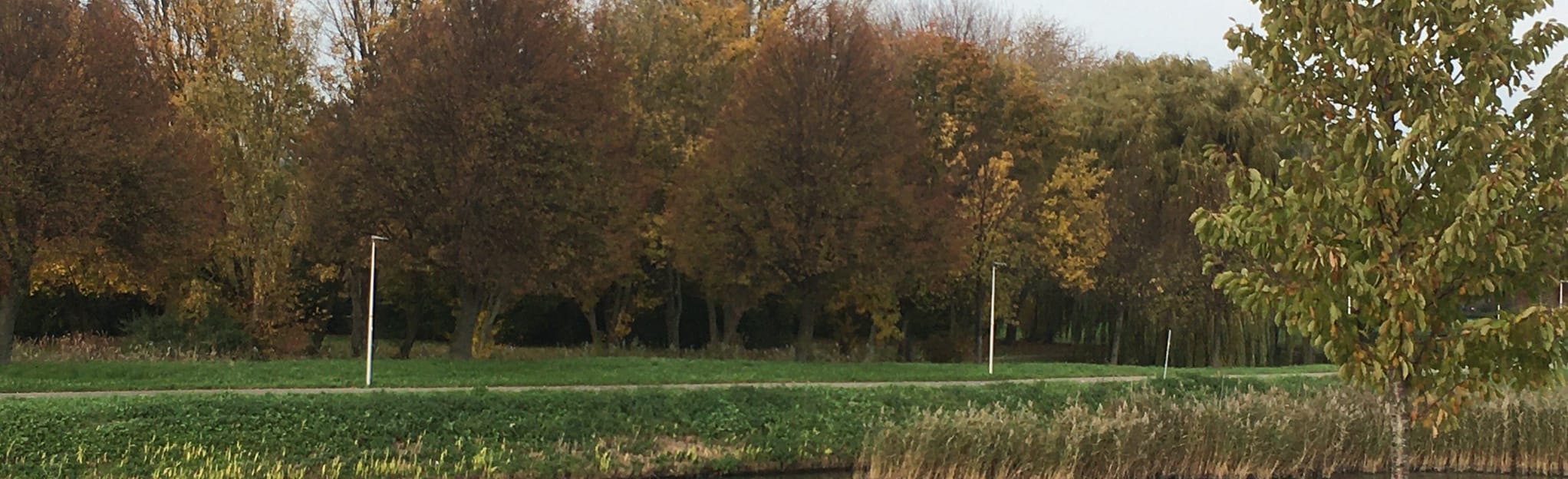 Berkel en Rodenrijs - Groenzoom: 5 Reviews, Map - South Holland ...
