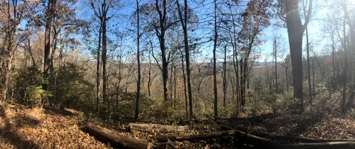 10 Best Trails and Hikes in Fayetteville | AllTrails