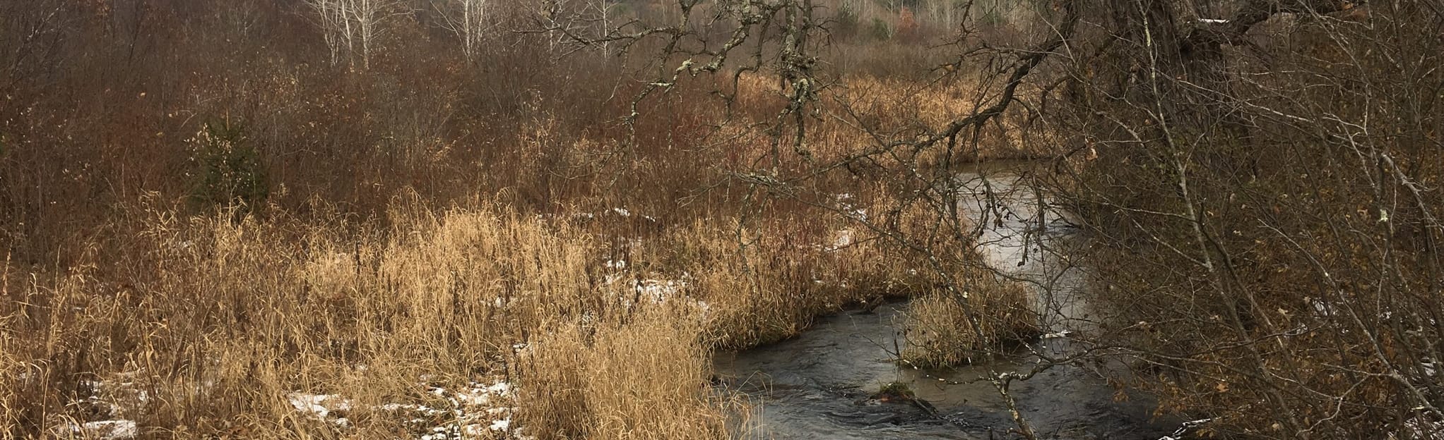 Ice Age Trail: Chaffee Creek Segment, Wisconsin - 103 Reviews, Map ...