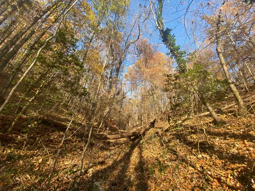 Best Hikes and Trails in Observatory Hill Trail System | AllTrails