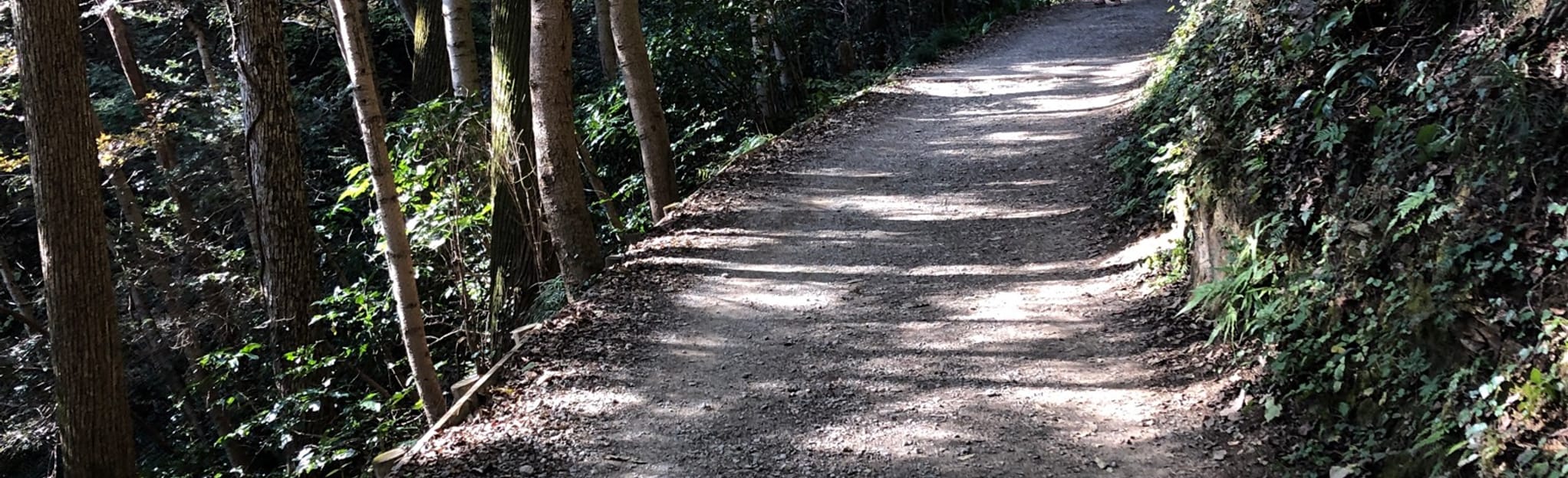 Mount Takao: Trail 3, Tokyo, Japan - 7 Reviews, Map | AllTrails