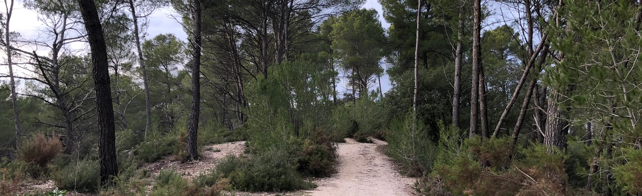 Cabries Park, Bouches-du-Rhône, France - 50 Reviews, Map | AllTrails