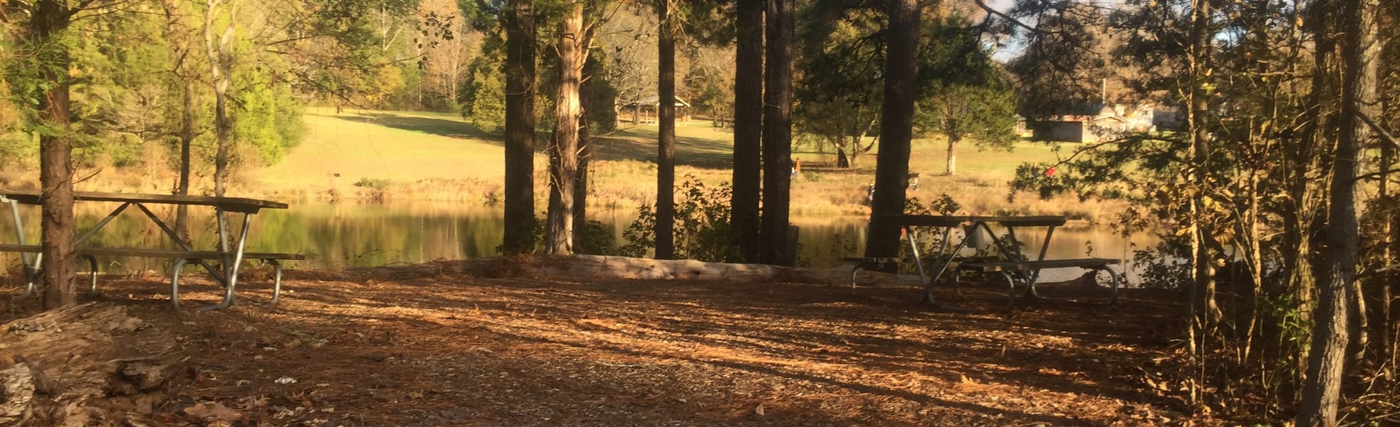 Alice's Loop via Mary's Trail: 28 Reviews, Map - North Carolina | AllTrails