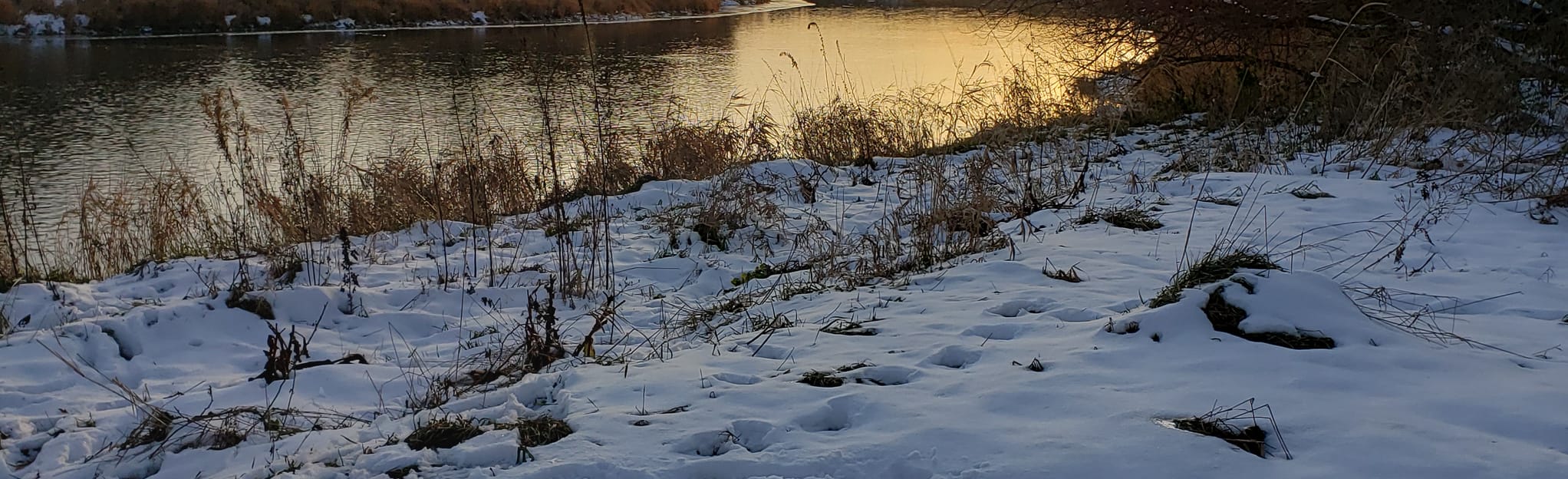 Walter Bean Grand River Trail, Ontario, Canada - 147 Reviews, Map ...