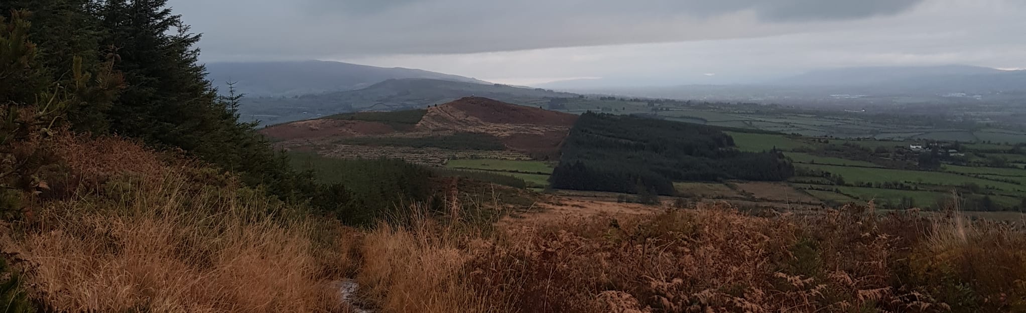 AllTrails | Darragh Hills -Molanna Loop: 25 Reviews, Map - County ...