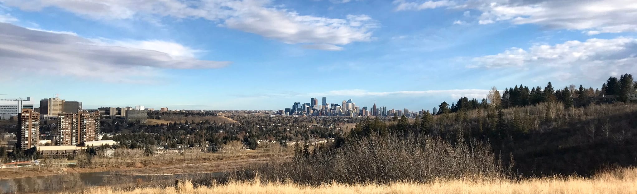 Edworthy Park Loop: 76 Reviews, Map - Alberta, Canada | AllTrails