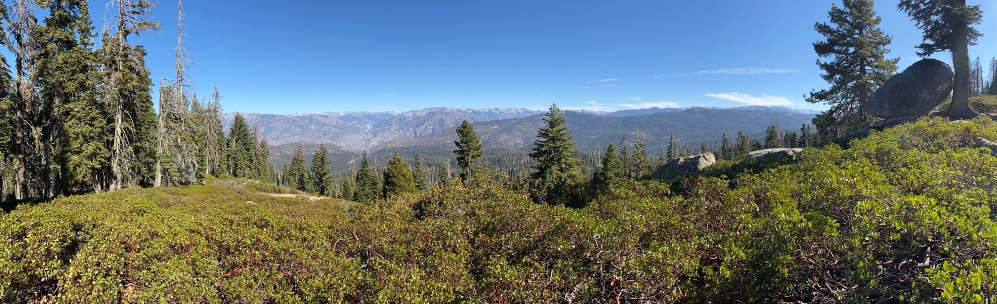 Panoramic Point, California - 511 Reviews, Map | AllTrails