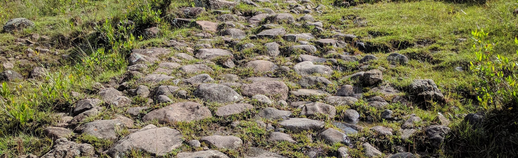Caminantes Ruta 3: Llacao - Cerro Pachamama - Zhiquir, Azuay, Ecuador ...