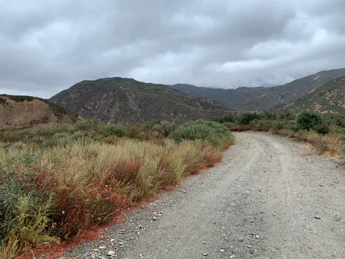 2023 Best 10 Trails and Hikes in Lytle Creek | AllTrails