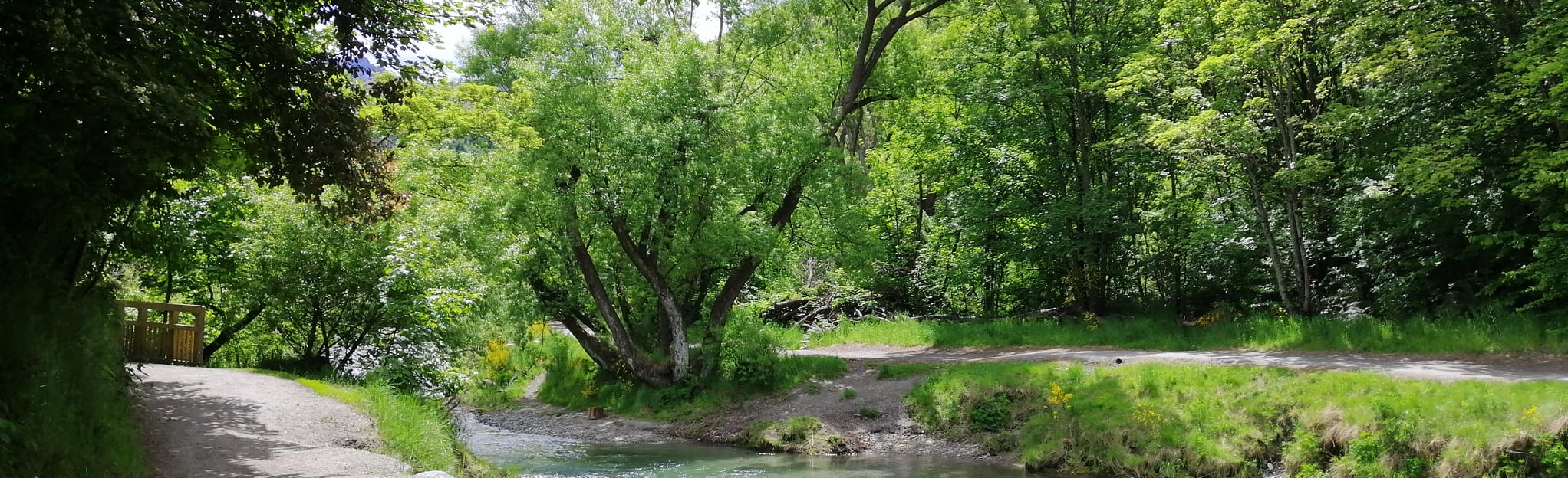 Arrow River Bridges Trail: 76 Reviews, Map - Otago, New Zealand | AllTrails