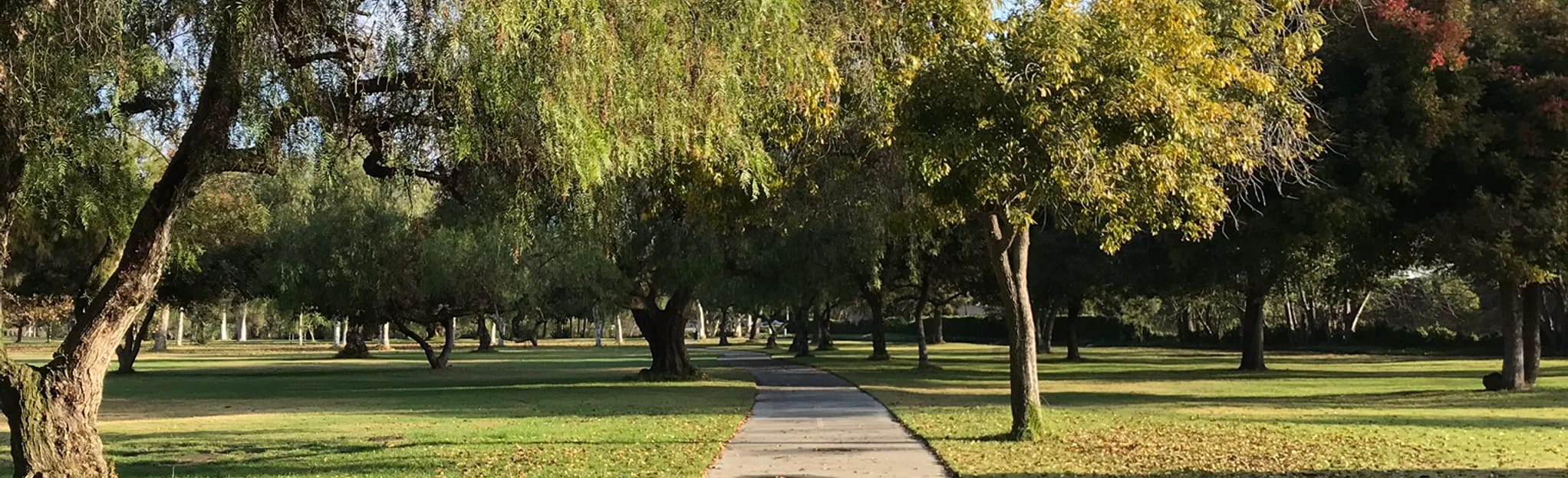 El Dorado East Regional Park Perimeter Loop: 642 Reviews, Map ...