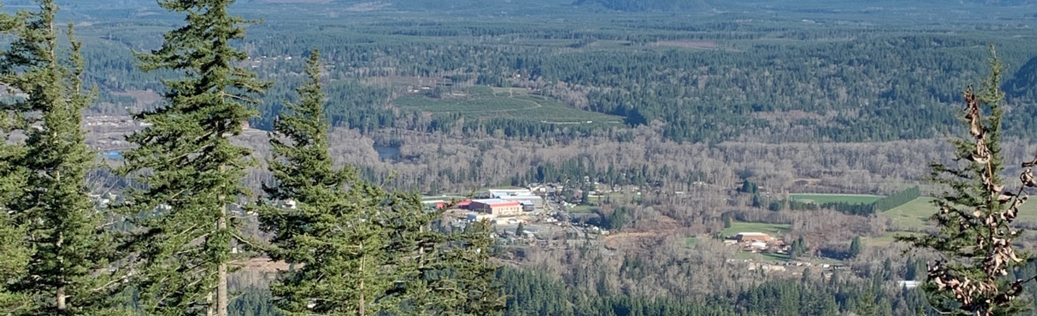 Upward Mobility, Poppin Top, Flow State Loop, Washington - 359 Reviews ...