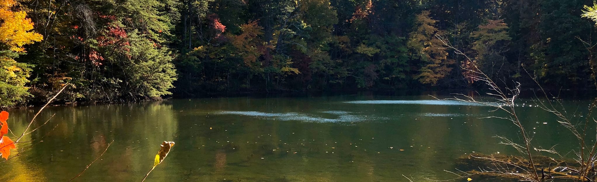 Reservoir #3 via Brissy Ridge and Pipsissewa Loop: 432 Reviews, Map ...