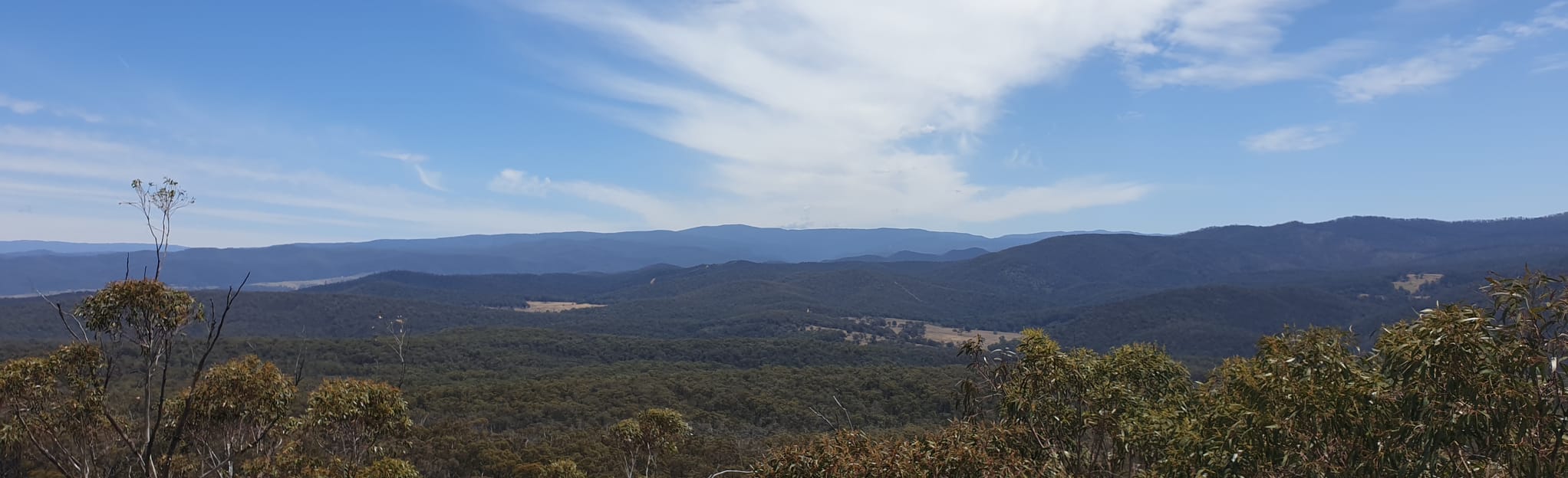 Mount Hendrick Lookout and Motor Bike Loop: 12 Reviews, Map - Victoria ...