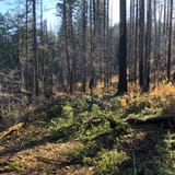 North Umpqua Trail: Swiftwater and Tioga Segment, Oregon - 41 Reviews ...