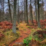 Scolty Hill, Aberdeenshire, Scotland - 102 Reviews, Map | AllTrails