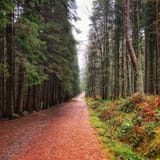 Scolty Hill, Aberdeenshire, Scotland - 102 Reviews, Map | AllTrails