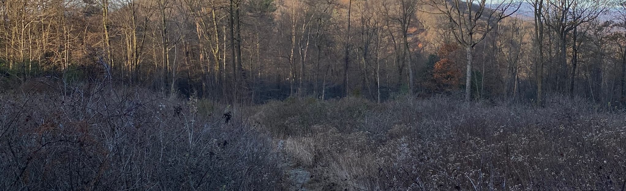 Darlington Trail: 263 Reviews, Map - Pennsylvania | AllTrails