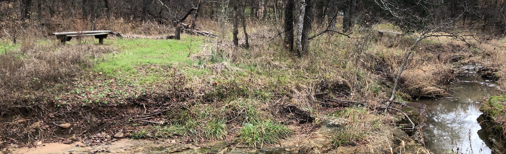 Rocky Point Trail: 579 Reviews, Map - Texas | AllTrails