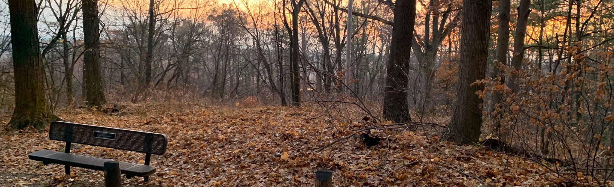 Johnson Park Scenic Trail, Michigan - 303 Reviews, Map | AllTrails