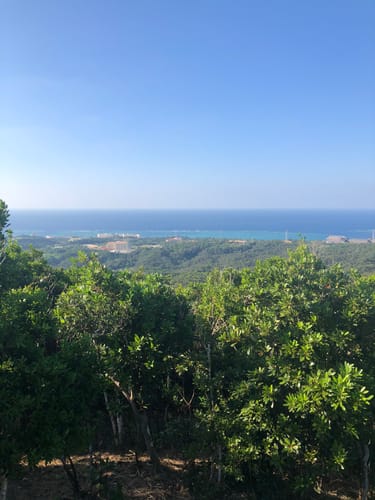 Best Hikes and Trails in Uruma Shiminnomori Park | AllTrails