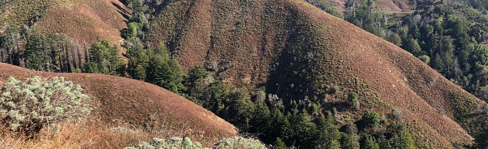 Doud Peak via Soberanes Canyon Trail, California - 1,473 Reviews, Map ...