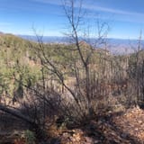 Sunflower Mine OHV Trail, Arizona - 32 Reviews, Map | AllTrails