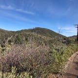 Sunflower Mine OHV Trail, Arizona - 31 Reviews, Map | AllTrails