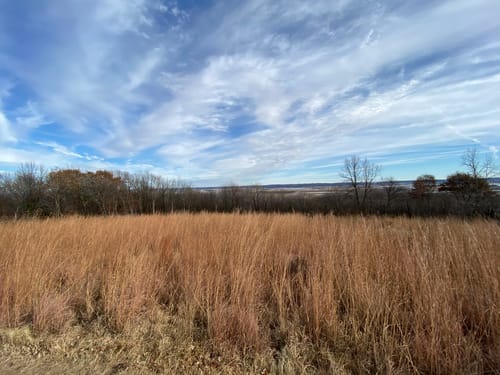 Best Hikes and Trails in Neale Woods | AllTrails