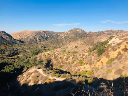 10 Best Hikes and Trails in Whiting Ranch Wilderness Park | AllTrails