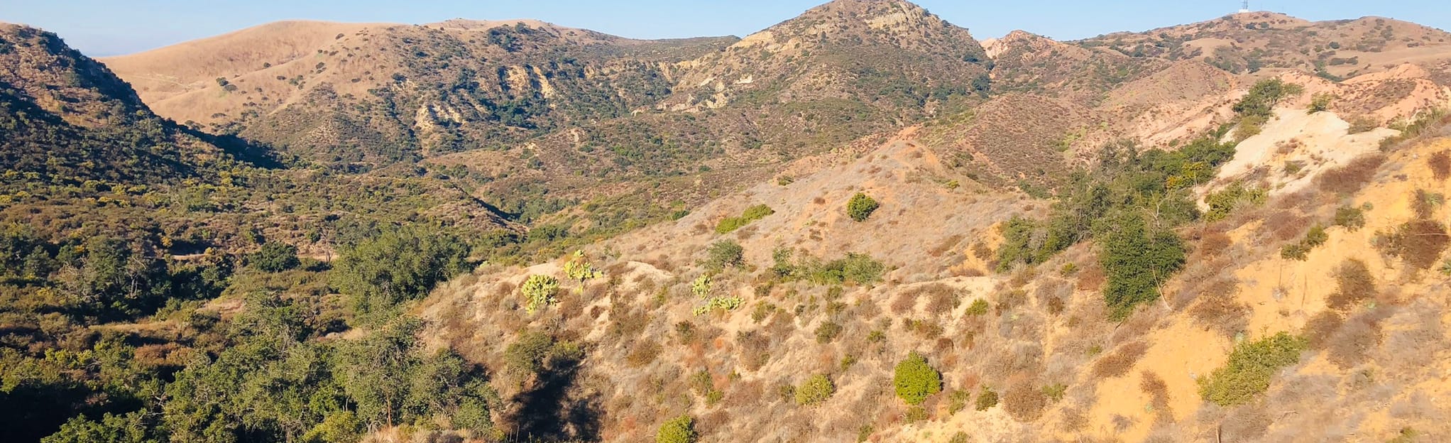 Dreaded Hill and Billy Goat Trails, California - 895 Reviews, Map ...