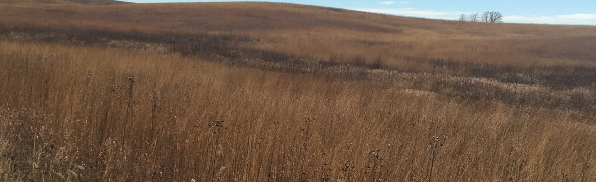 Neal Smith Scenic Bike Trail, Iowa - 8 Reviews, Map | AllTrails