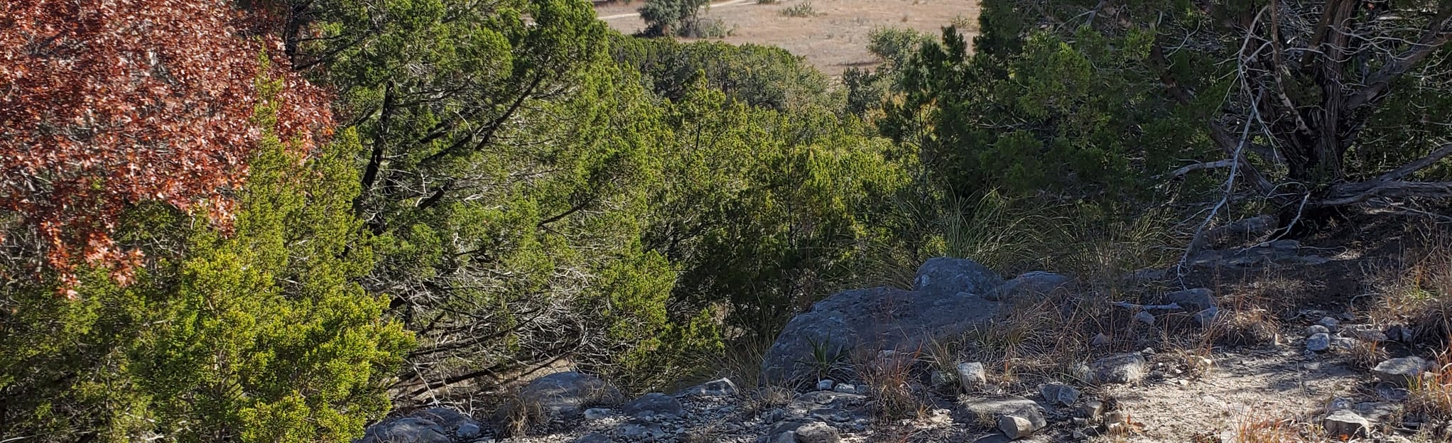 Hidden Falls OHV Western Loop: 55 Reviews, Map - Texas | AllTrails