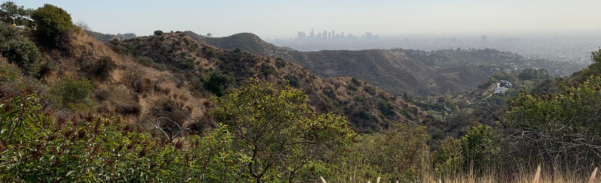 Hollyridge Trail to Hollywood Sign Viewpoint: 4,645 Reviews, Map ...
