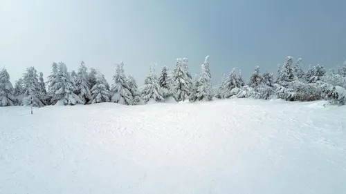 Best Easy Trails in Chráněná krajinná oblast (CHKO) Orlické hory ...