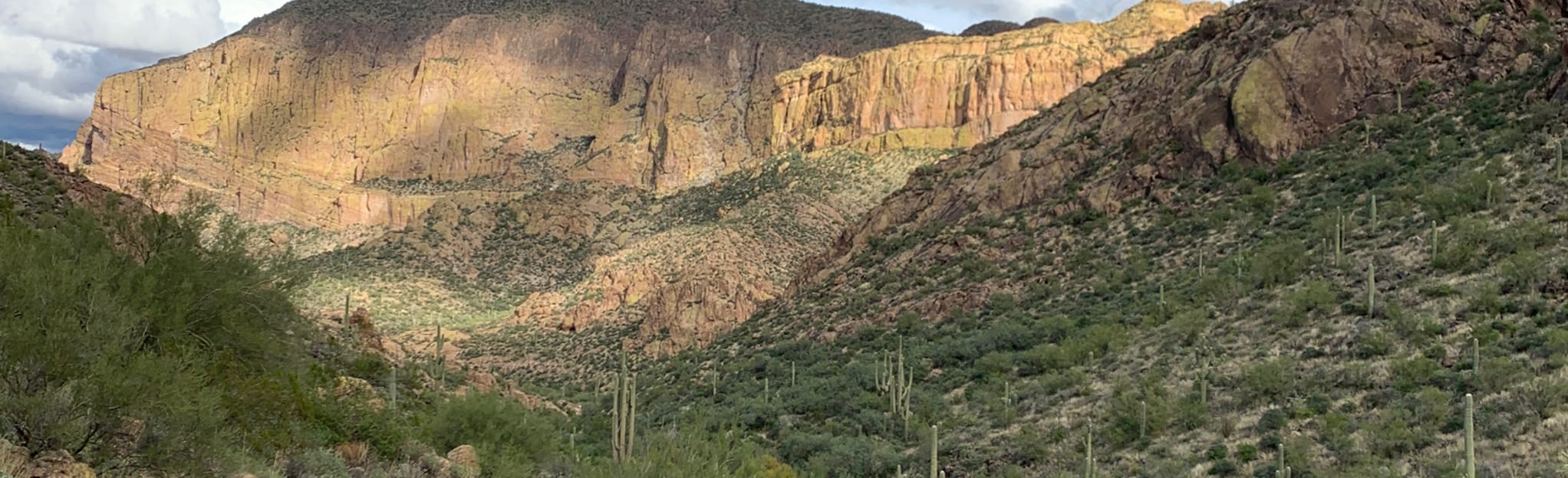 First Water Loop via LaBarge Canyon: 42 Reviews, Map - Arizona | AllTrails