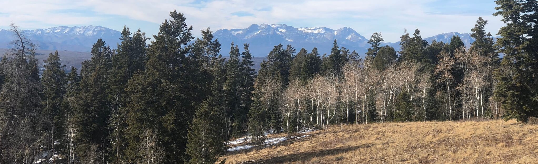 Cedar Hollow Loop | Map, Guide - Utah | AllTrails