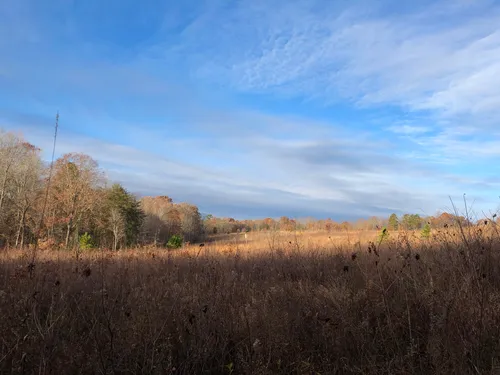 Best 10 Hikes and Trails in Latta Nature Preserve | AllTrails