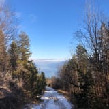 Mount Tappen, British Columbia, Canada - 10 Reviews, Map | AllTrails