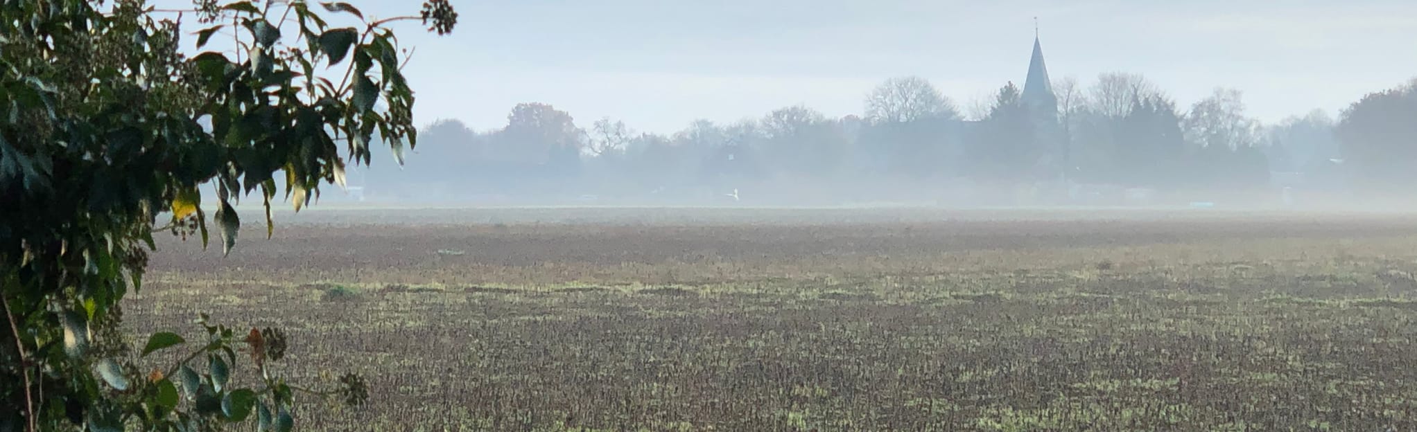 Diever Mountainbikeroute: 49 foto's - Drenthe, Nederland | AllTrails