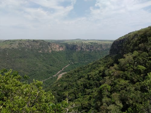Best Hikes and Trails in Oribi Gorge Nature Reserve | AllTrails