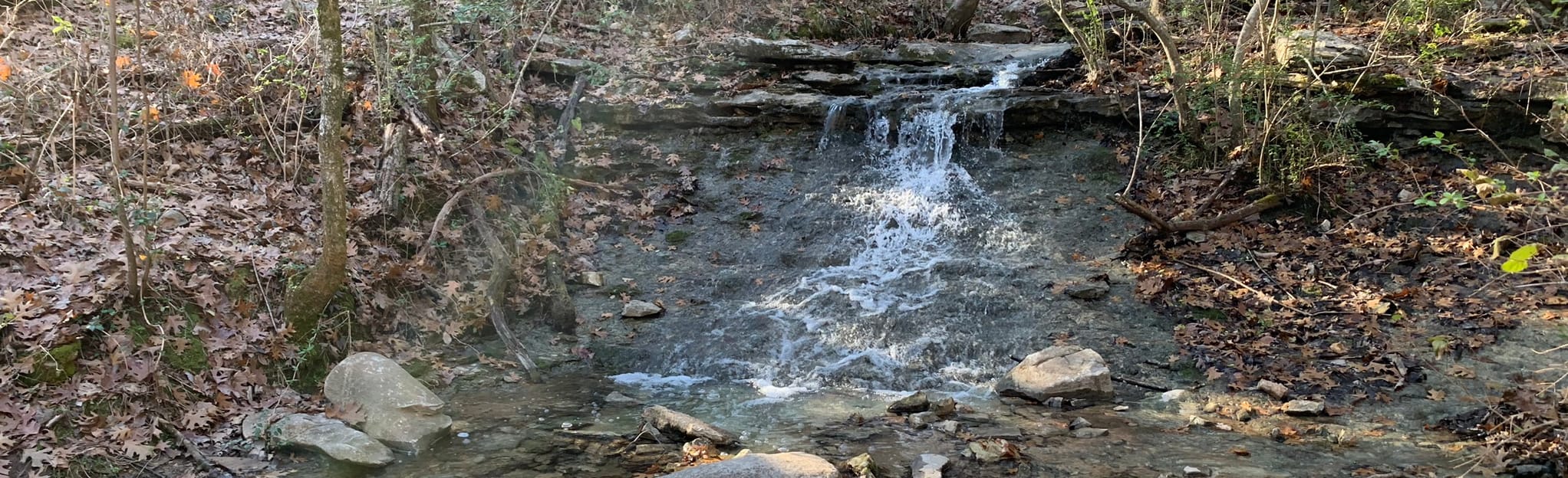 Rainbow Loop Trail and Ja-Moo-Ko Loop, Alabama - 919 Reviews, Map ...