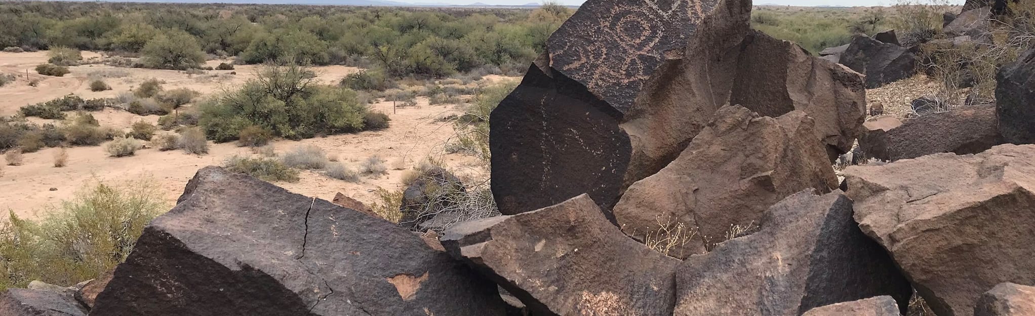 Sears Point Trail, Arizona - 20 Reviews, Map | AllTrails