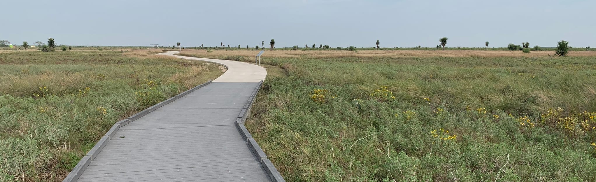 Palo Alto Battlefield Trail | Map, Guide - Texas | AllTrails