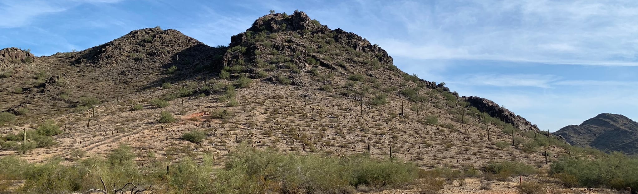 Charles M. Christiansen Trail 100 via Piestewa Trailhead, Arizona - 752 ...