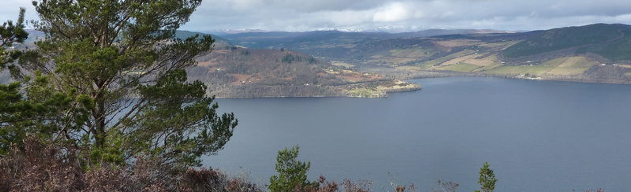 South Loch Ness Trail: Dores and Inverfarigaig Circular, Highlands ...