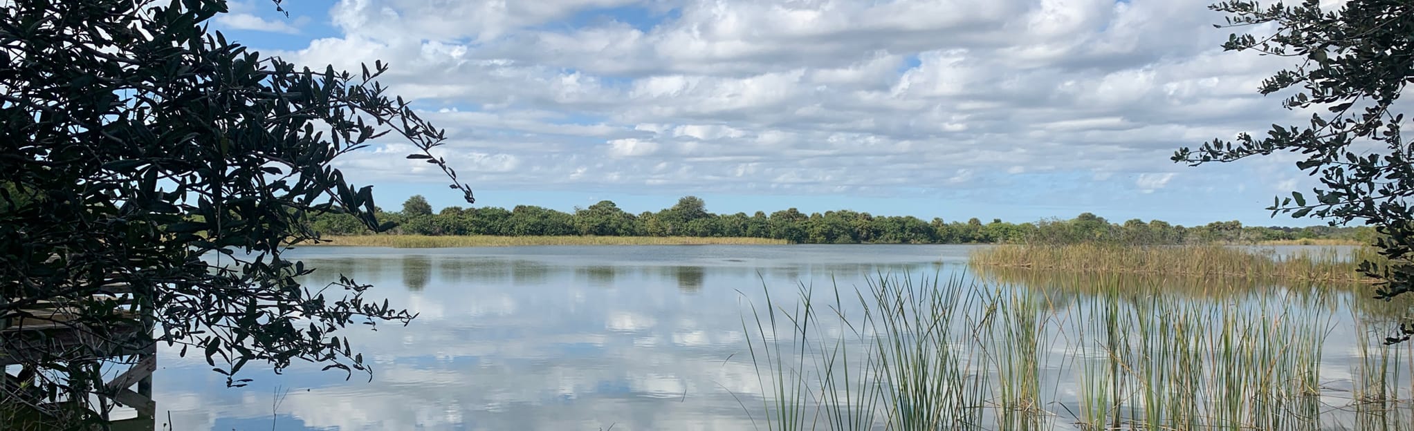 Fay Lake Wilderness Park Loop, Florida - 38 Reviews, Map | AllTrails