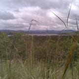 Quaid Road, Queensland, Australia - 3 Reviews, Map | AllTrails